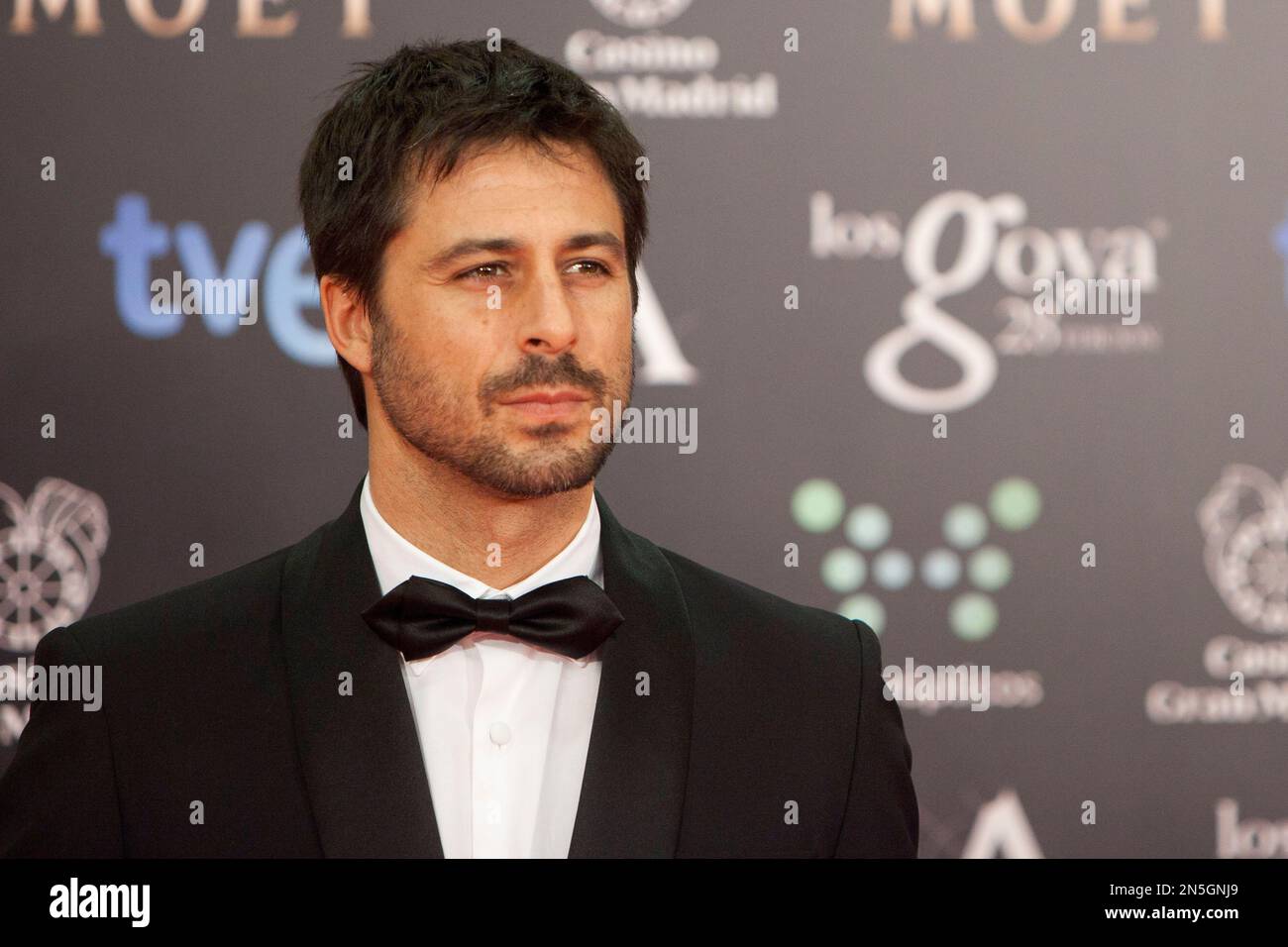 Spanish actor Hugo Silva poses for photographers on the red carpet ...