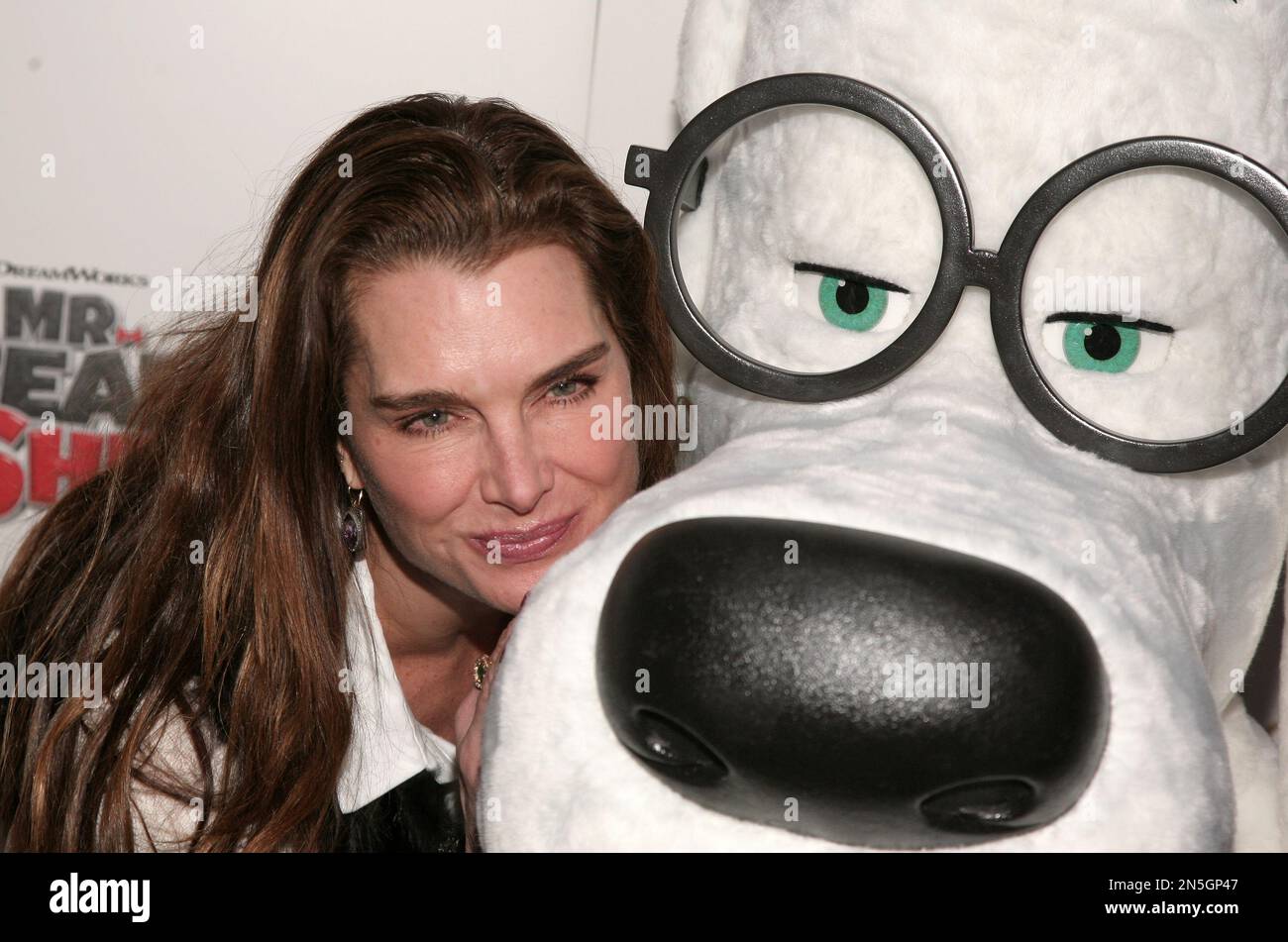 Actress Brooke Sheilds attends a screening of "Mr. Peabody & Sherman ...