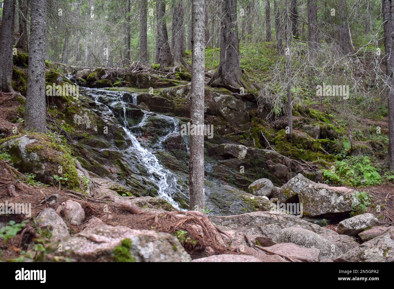small waterfalls on a stream in the Swedish Forest. High coast of ...