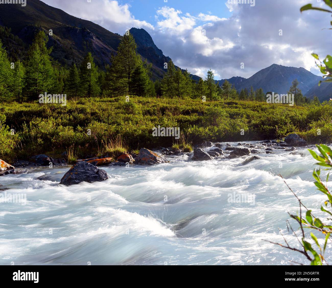 A fast alpine river with rifts and stones in a mountain valley among ...
