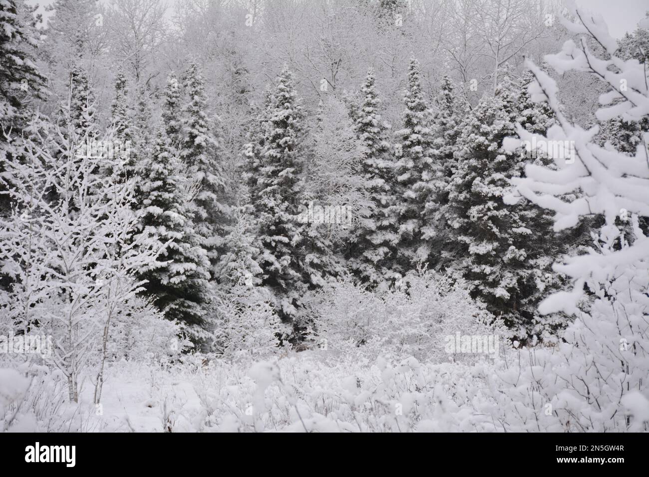 Rural images hi-res stock photography and images - Alamy