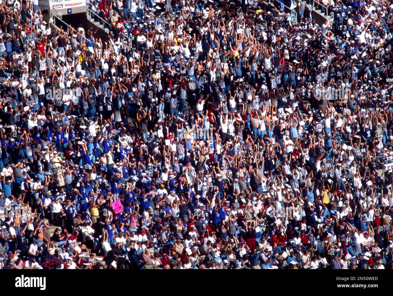 Sports Stadium Mexican Wave at Sandra Slavin blog