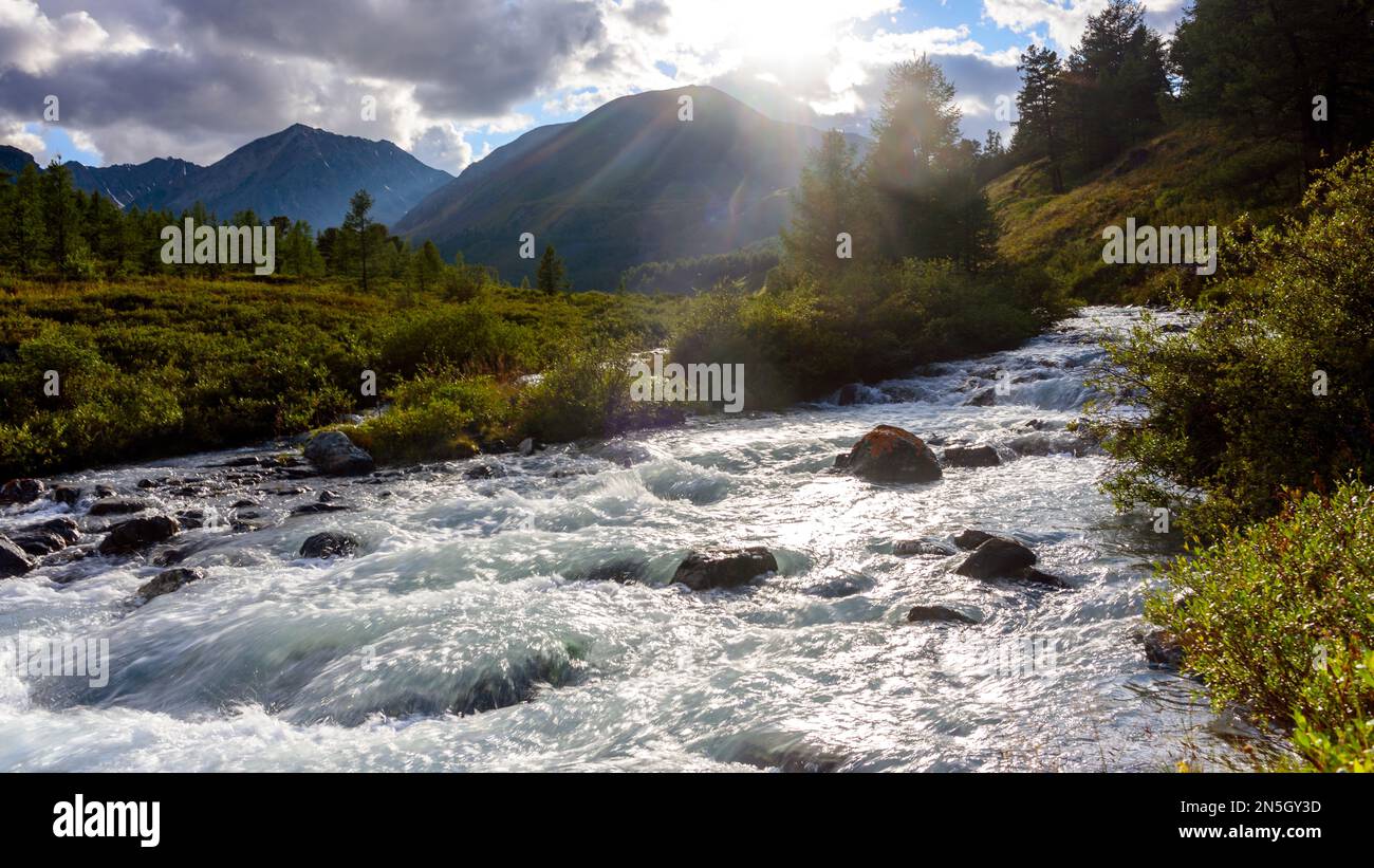 A fast alpine river with rifts and stones in a mountain valley among ...