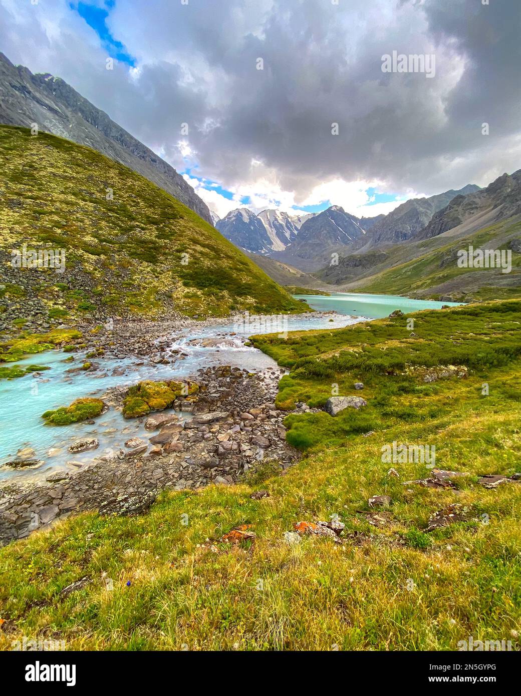 The water of the current alpine river among the stones flows in the ...