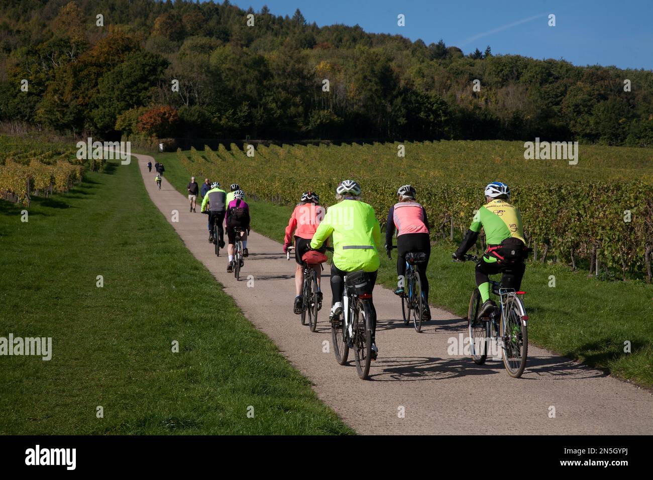 denbies wine estate dorking surrey england Stock Photo - Alamy