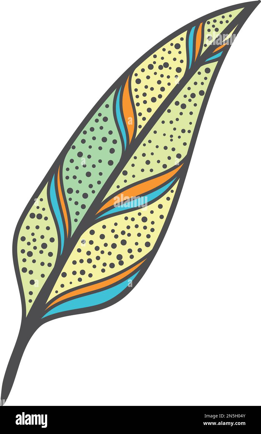 Long tail feather bird Cut Out Stock Images & Pictures - Alamy