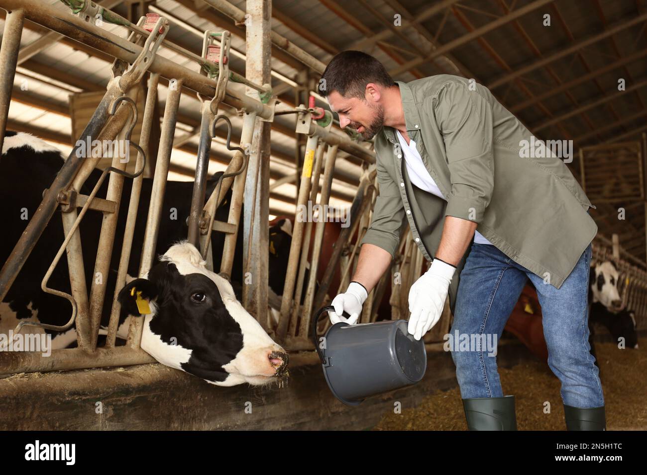 Farmer feed animal bucket hi-res stock photography and images - Alamy