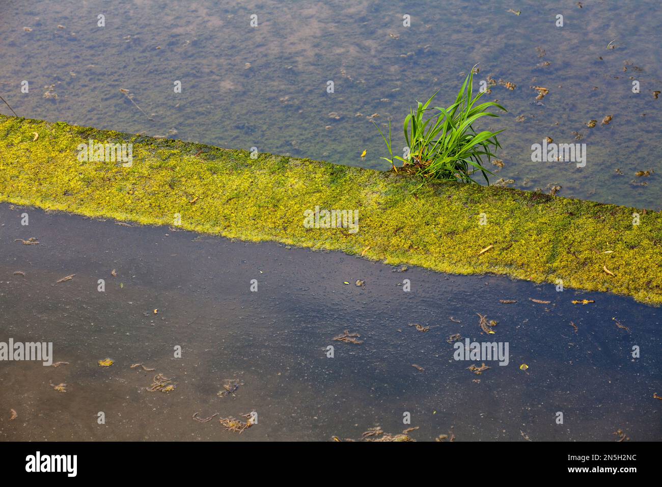 Little dam at a mill race Stock Photo - Alamy