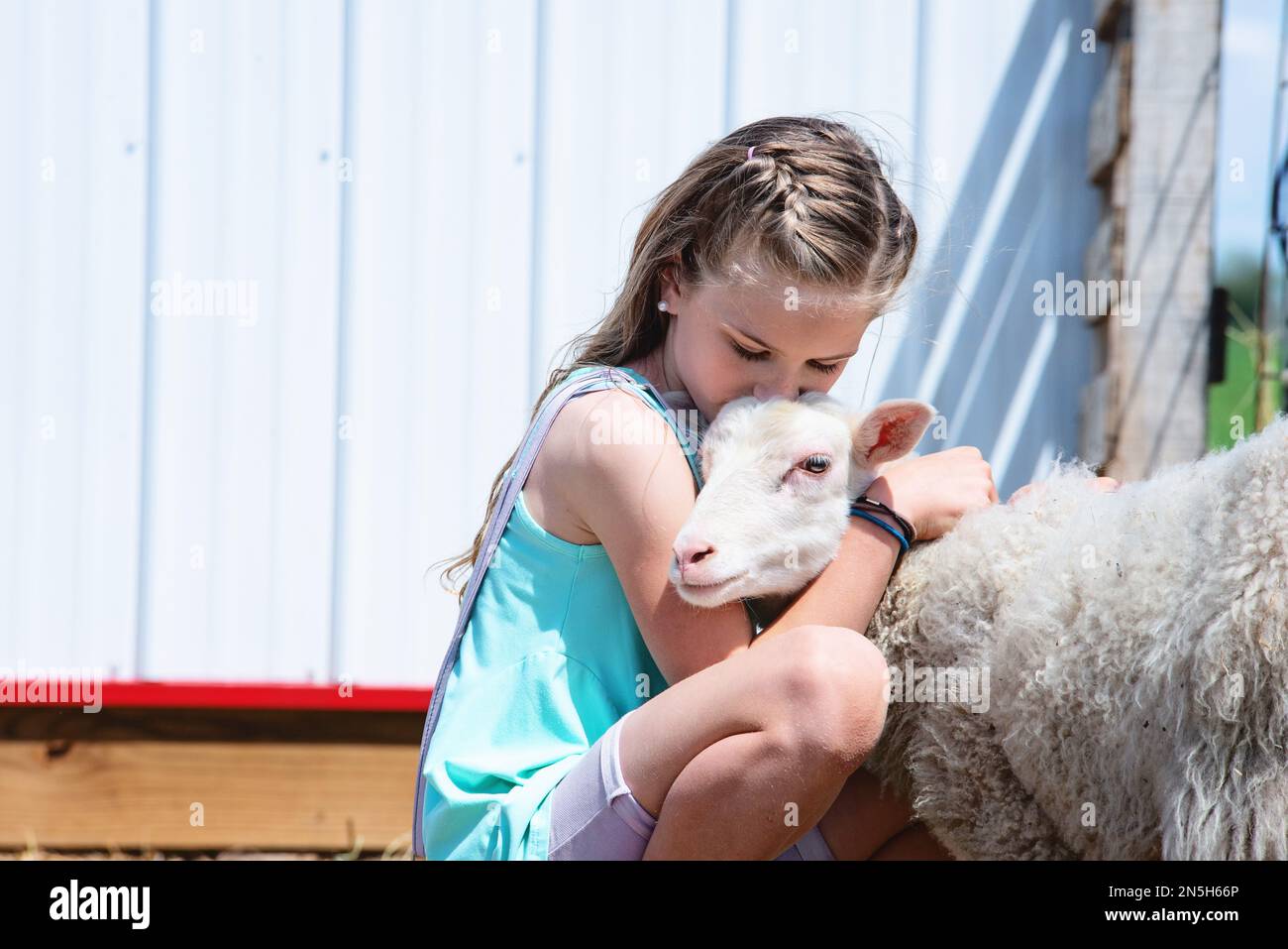 Hugging lamb hi-res stock photography and images - Alamy