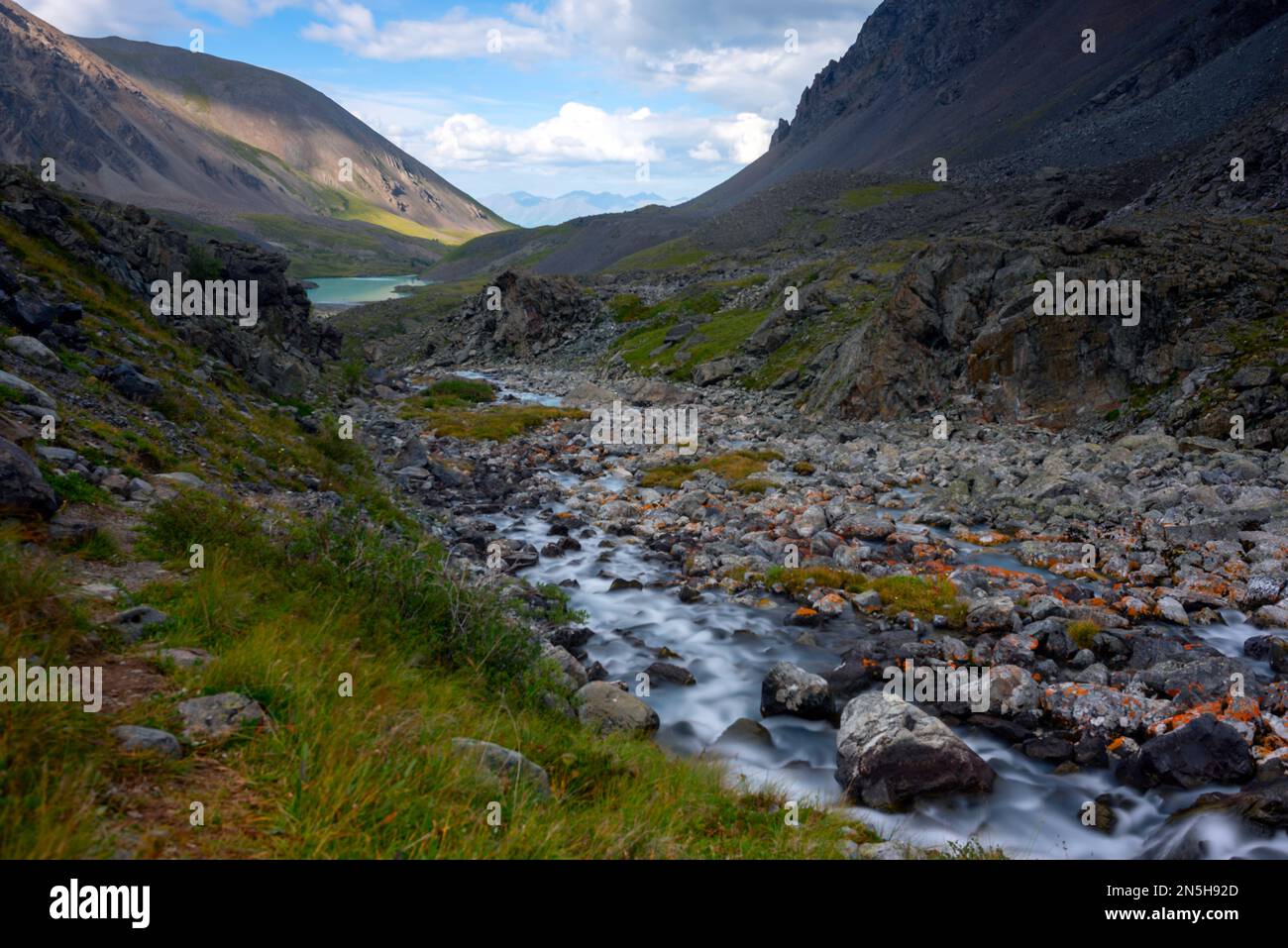 Alpine stream Karakabak quickly flows over stones with orange moss with ...