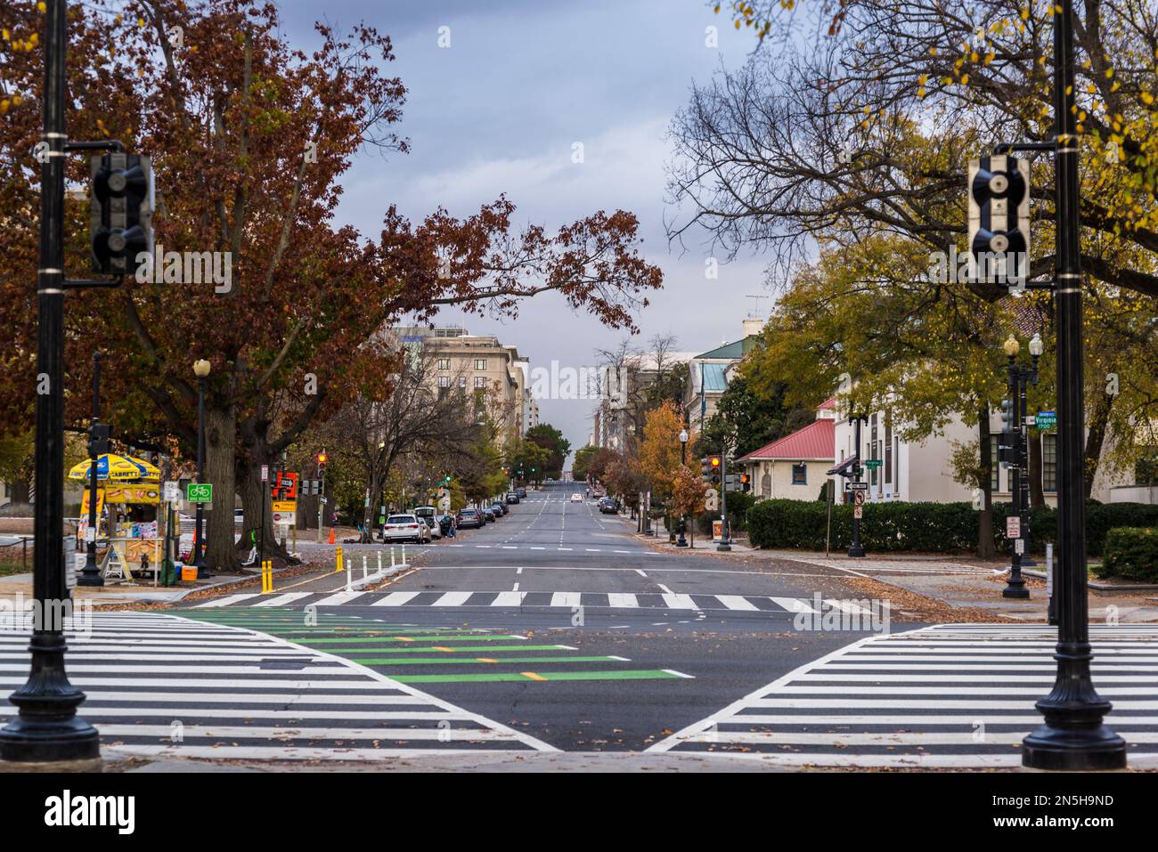 Street in downtown Washington with diagonal zebra crossing, Washington ...