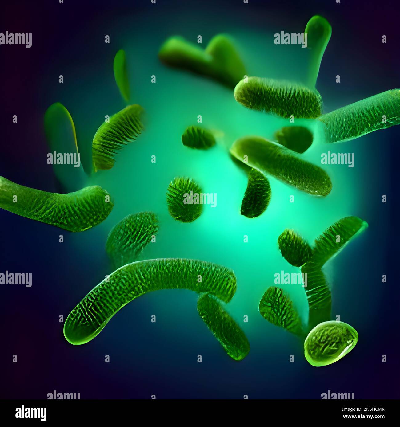 microscopic bacteria. Legionella pneumophila illustration Stock Photo ...