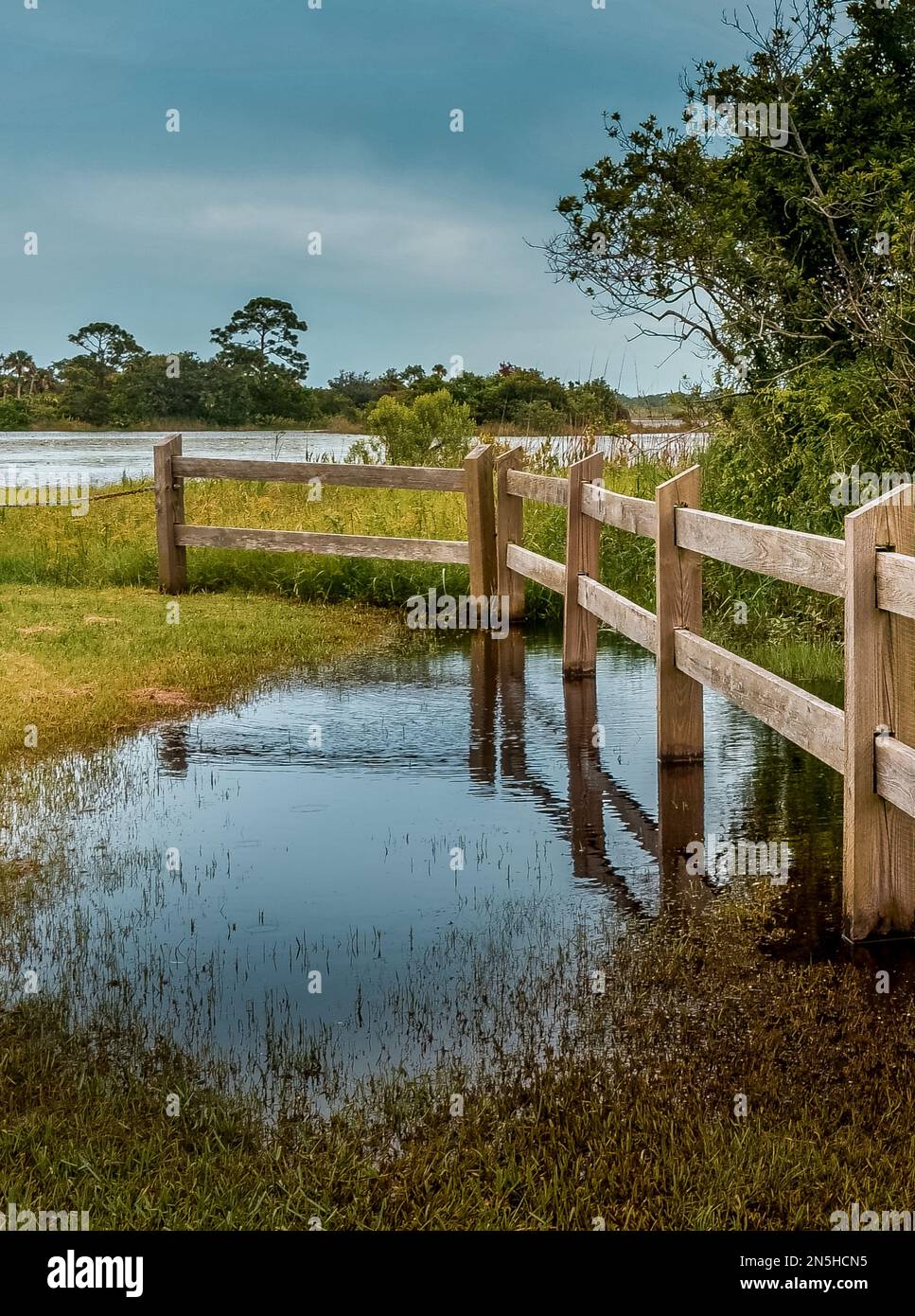 Small pond with wooden fence Stock Photo - Alamy