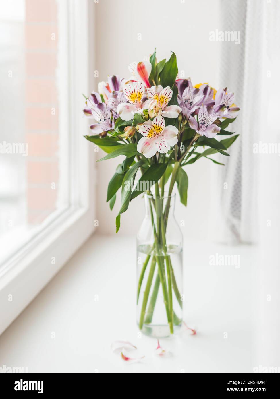 Colorful Alstroemeria flowers in glass vase on window sill. Natural ...
