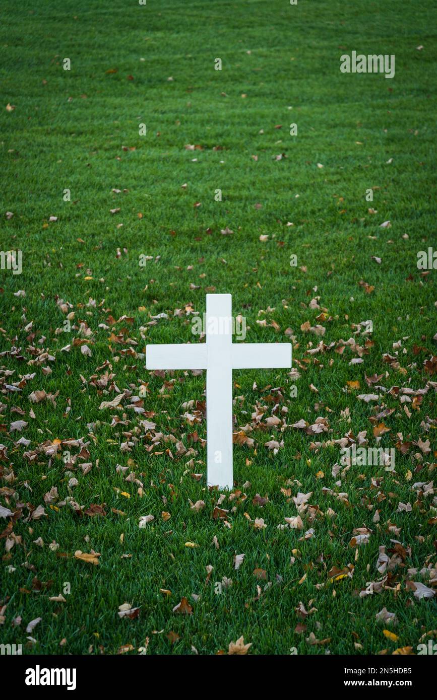 Downtown arlington hi-res stock photography and images - Alamy