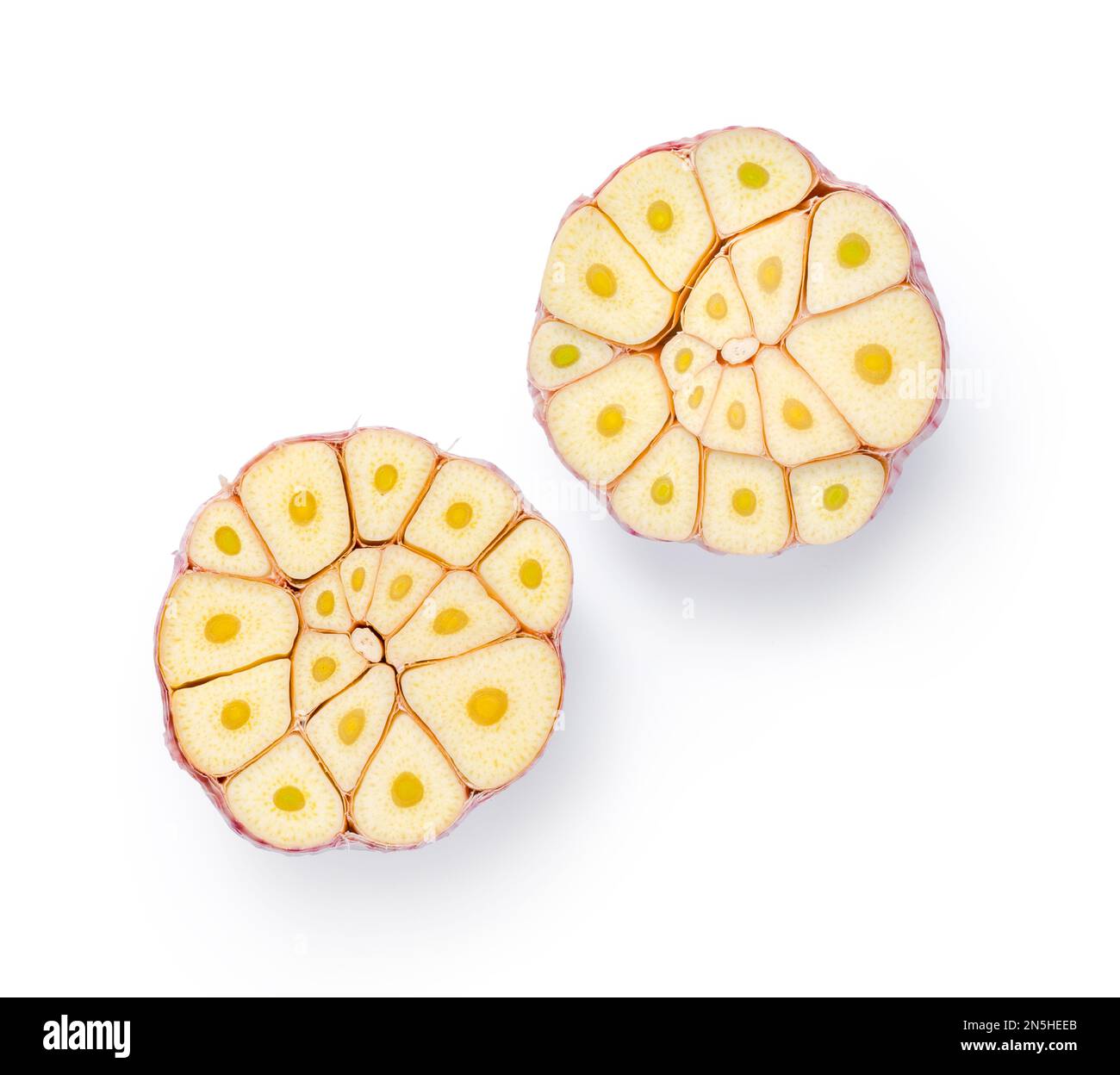Two half of garlic isolated. Top view of fresh garlic on white ...