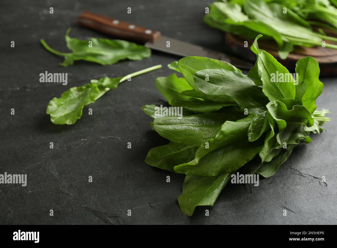 Dark sorrel hi-res stock photography and images - Alamy