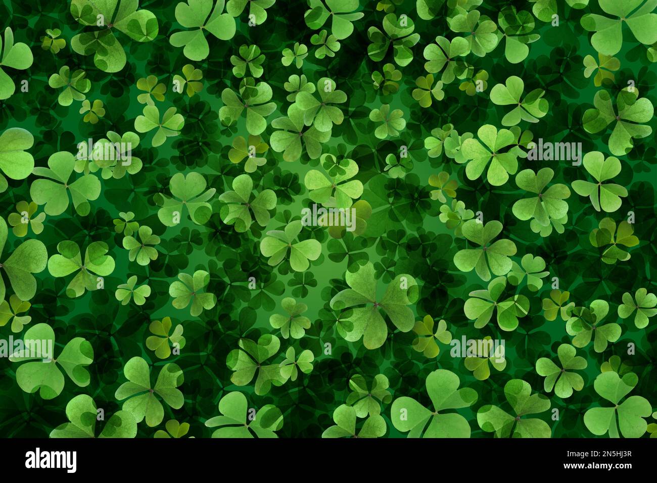 Fresh green clover leaves hi-res stock photography and images - Alamy