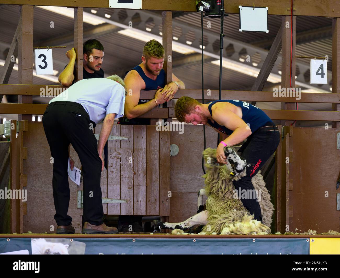 Male entrants wearing shearing singlets hi-res stock photography and ...