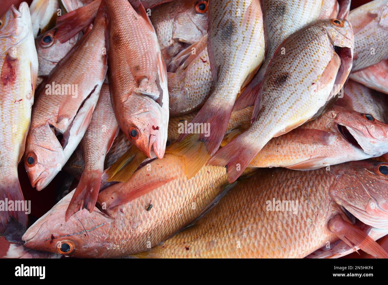 This image was captured in the fishing village of Casares, Nicaragua ...