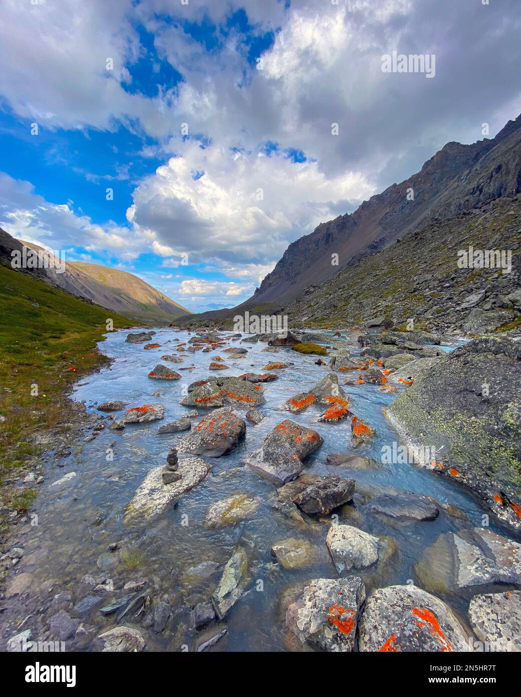 Alpine stream Karakabak flows rapidly over stones with orange lichen in ...