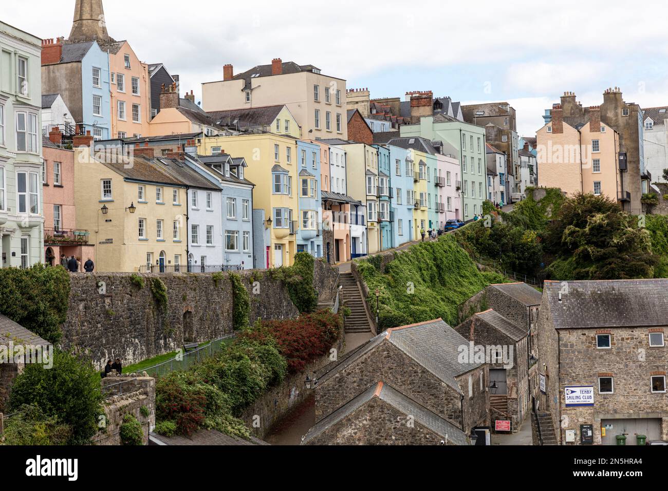 Tenby harbour and town houses overlooking, Tenby, Pembrokeshire, Wales ...