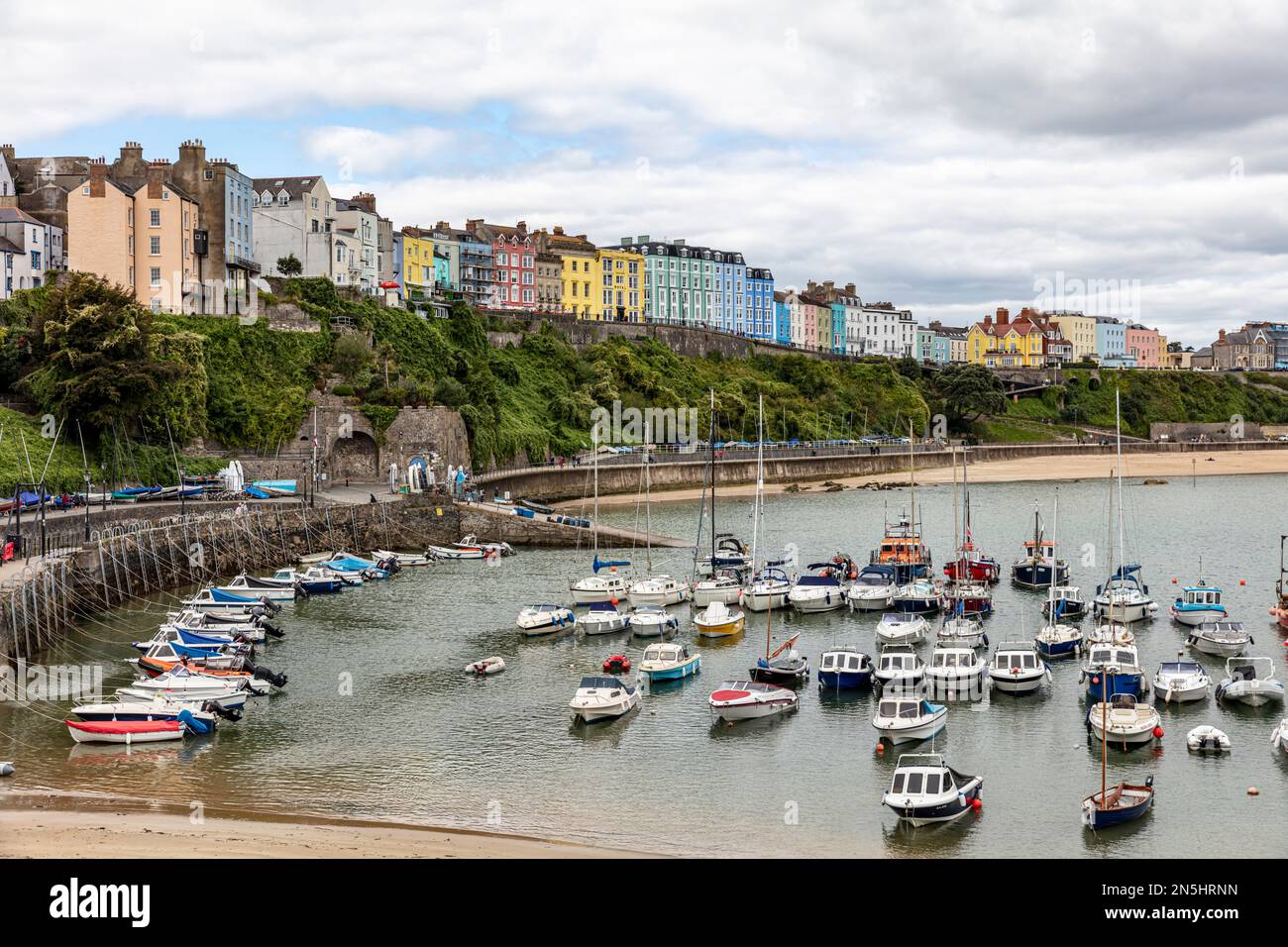 Tenby harbour and town houses overlooking, Tenby, Pembrokeshire, Wales ...
