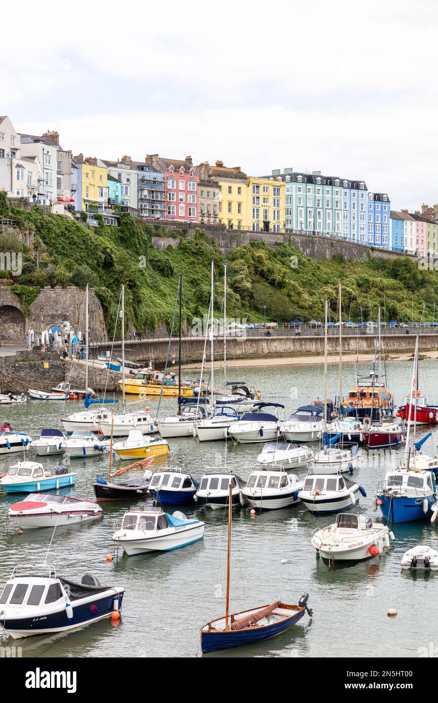 Tenby harbour and town houses overlooking, Tenby, Pembrokeshire, Wales ...