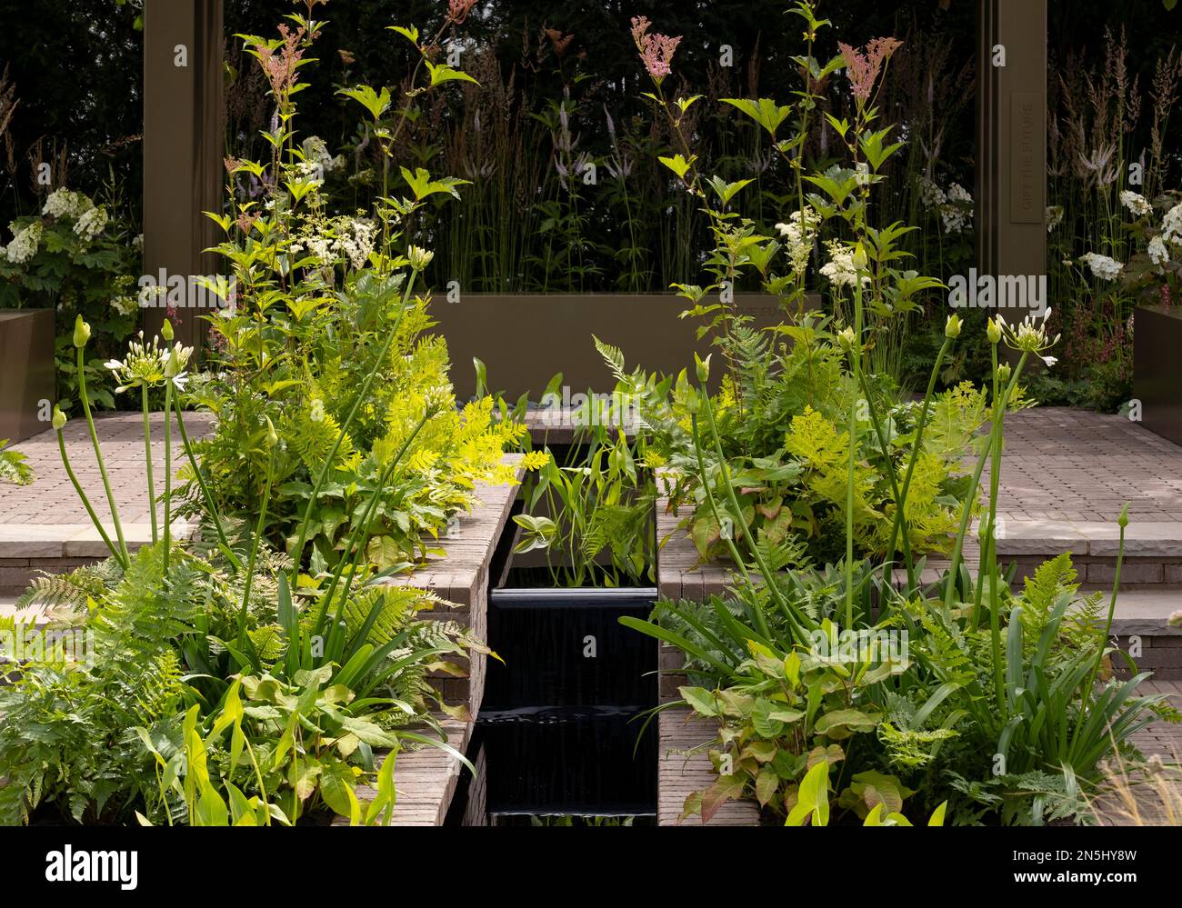 A rill surrounded by marginal plants in the MacMillan Legacy Garden at ...