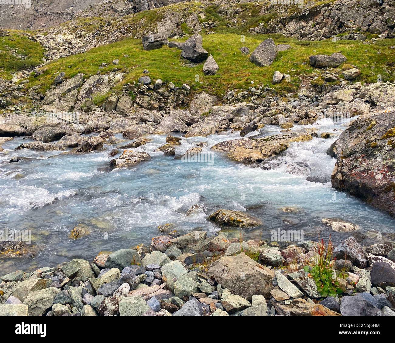 An alpine stream flows quickly over stones with bright green lichen in ...