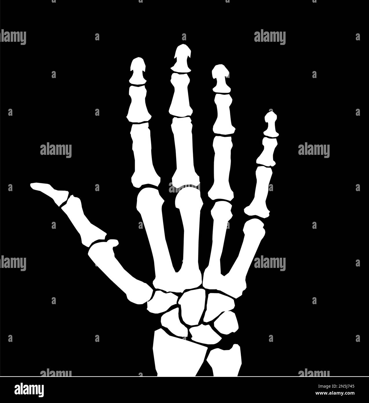 X-ray hand icon on white background. Human hand x-ray scan sign. X Rays ...