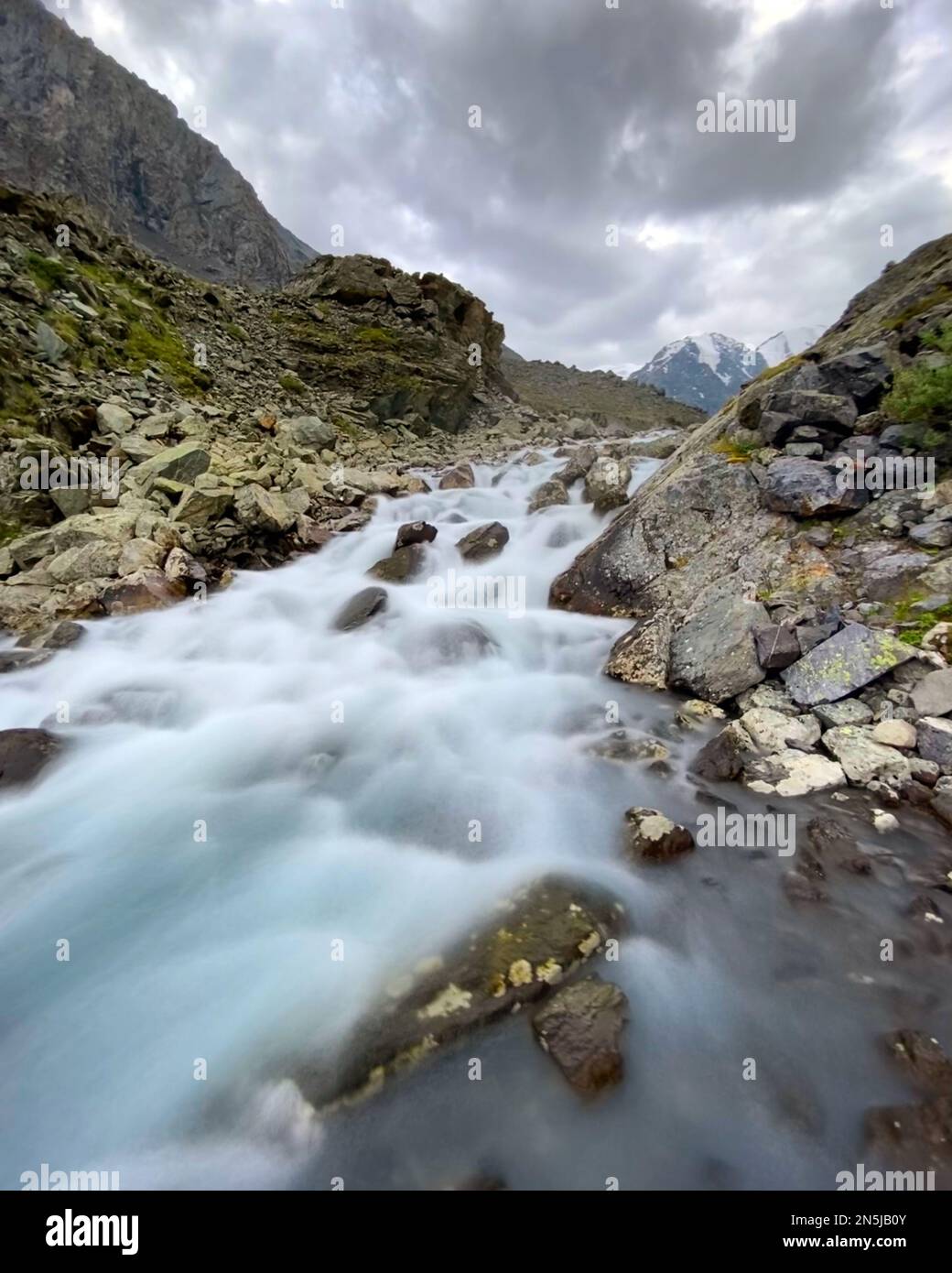 An alpine river flows over stones with moss from mountains with ...
