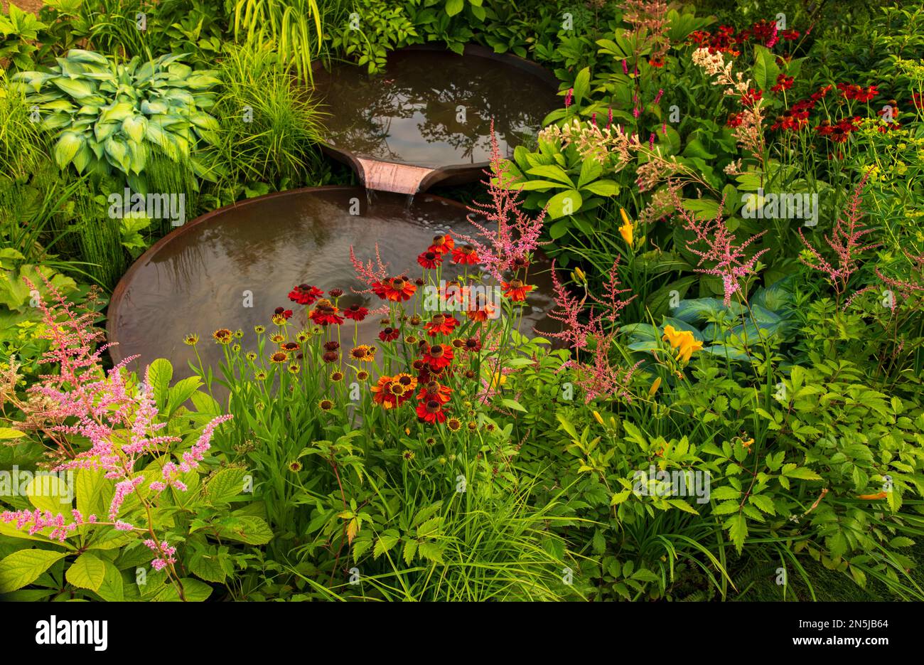 Marginal plants around two circular water features in the RHS Planet ...