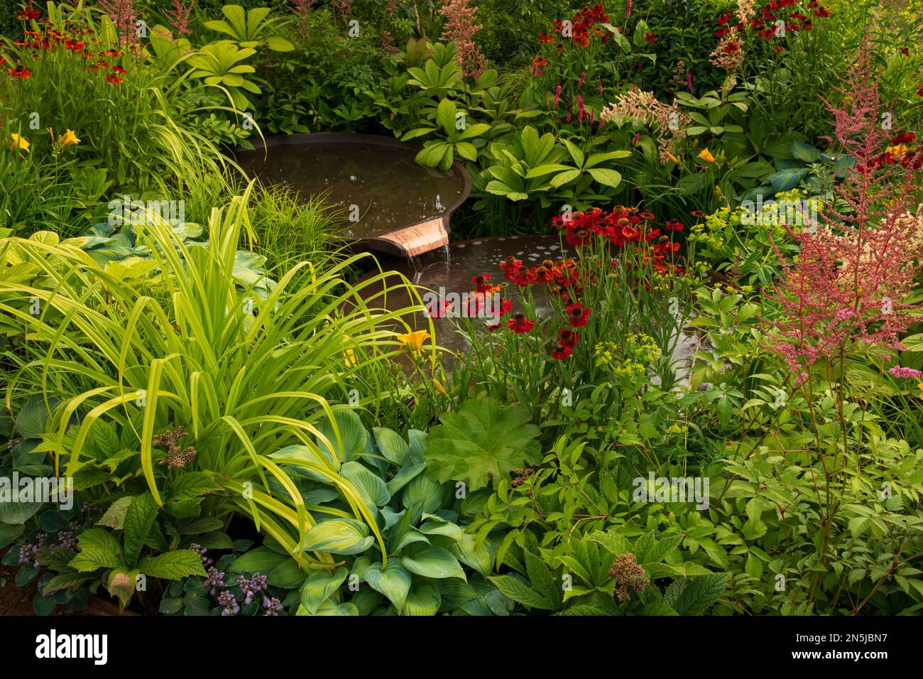Marginal plants around two circular water features in the RHS Planet ...
