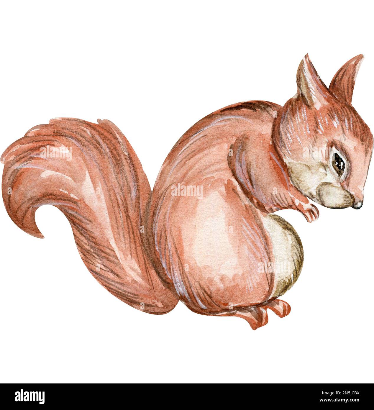 Hand drawn watercolor squirrel. Watercolor hand draw fairy tale ...