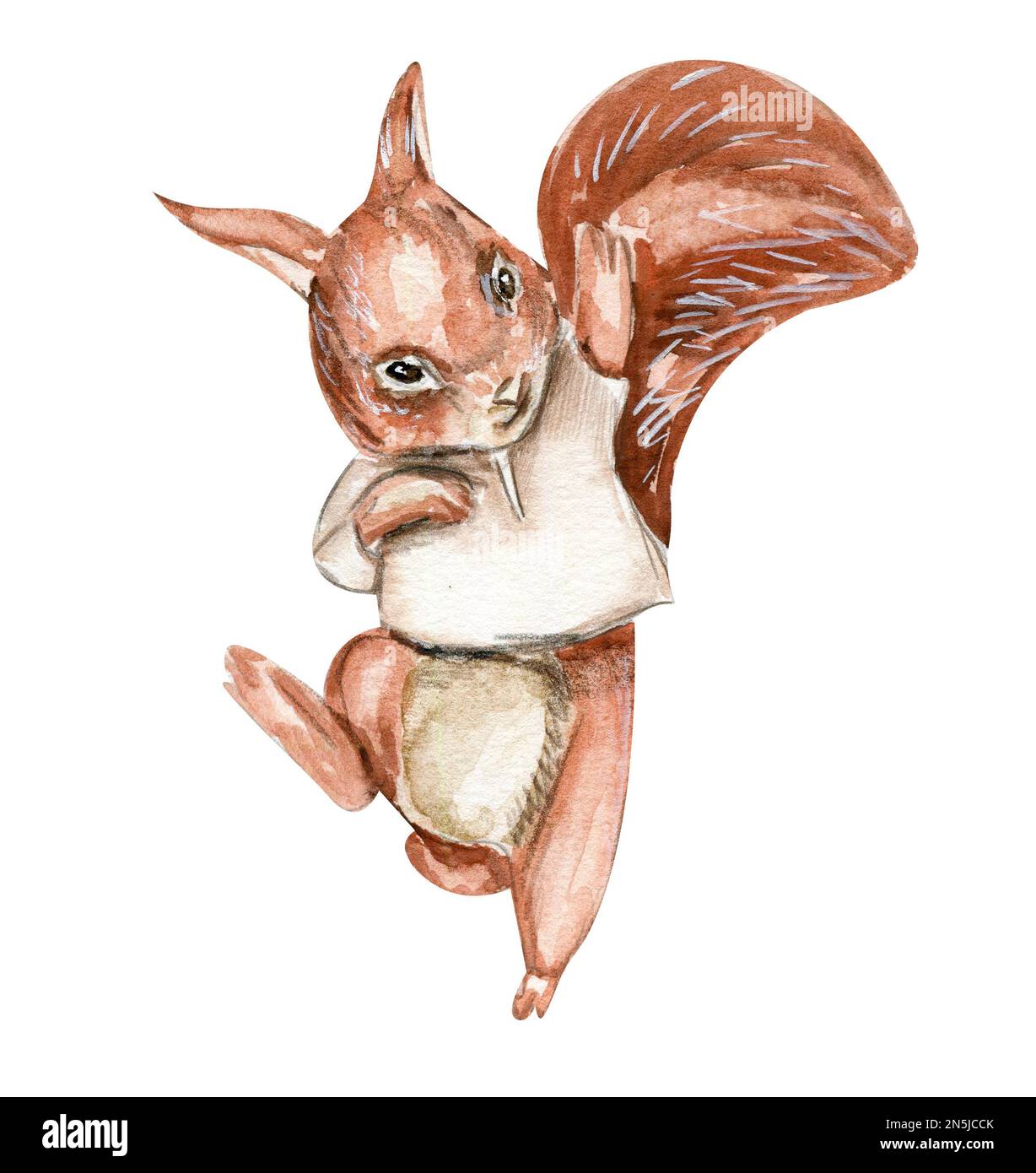 Hand drawn watercolor squirrel. Watercolor hand draw fairy tale ...