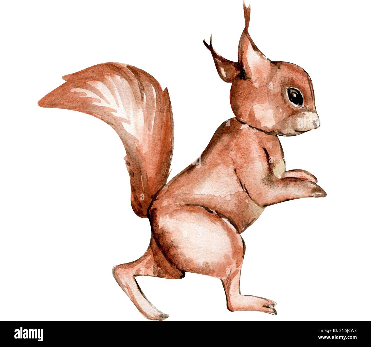 Hand drawn watercolor squirrel. Watercolor hand draw fairy tale ...