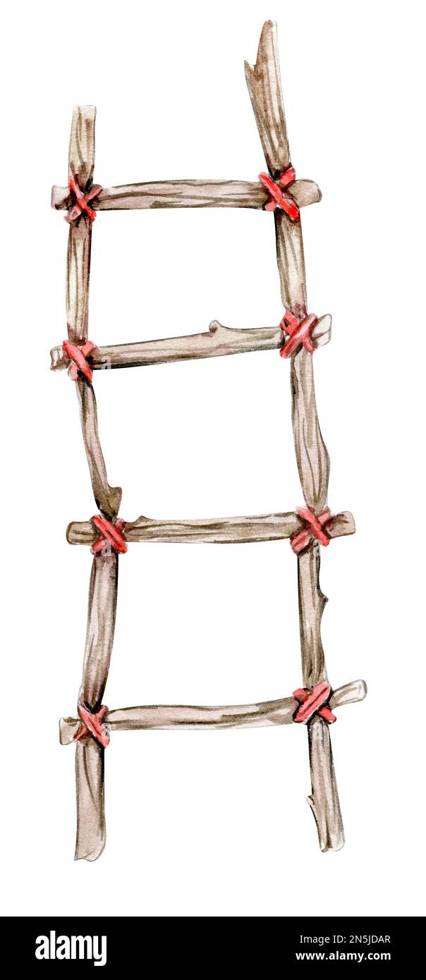 Watercolor hand drawn wooden ladder . Cute hand painted illustration ...