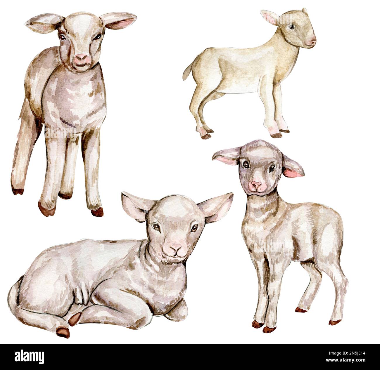 Watercolor hand drawn goatling . Watercolor illustration of farm animal ...