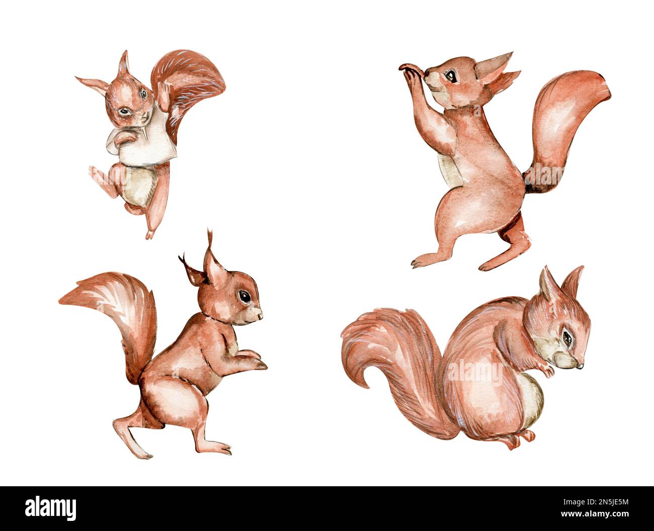 Hand drawn watercolor squirrel. Watercolor hand draw fairy tale ...