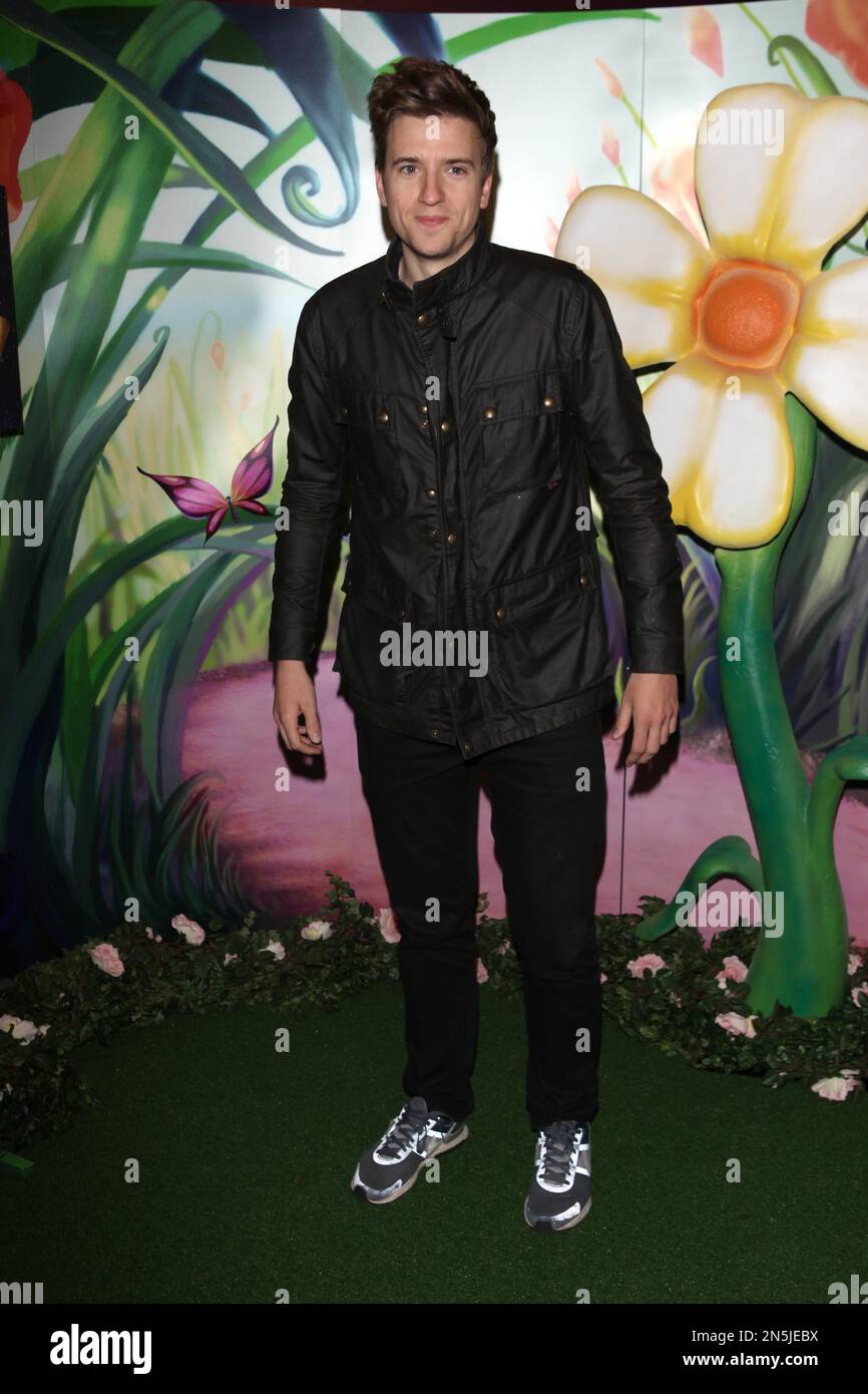 Greg James attends a special VIP screening of of the new Disney ...