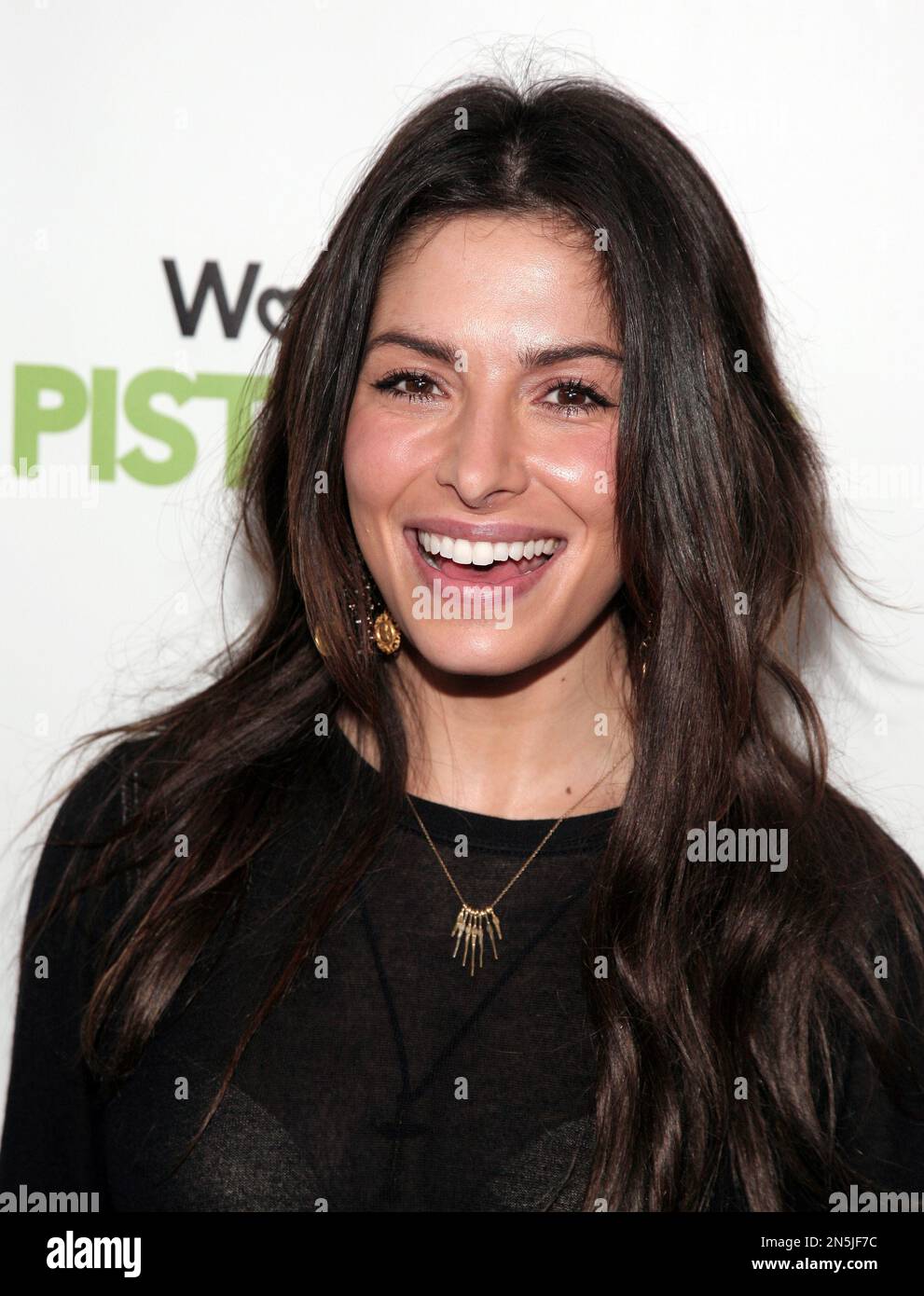 Actress Sarah Shahi attends the Maxim Magazine Super Bowl Party on ...