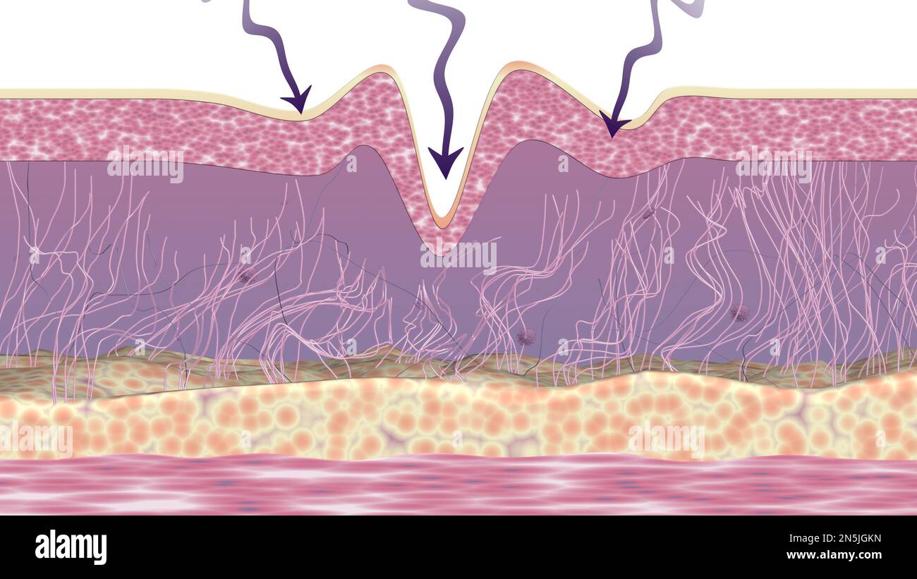 Anti-aging skincare. Wrinkle reduction treatment. 3d rendered ...