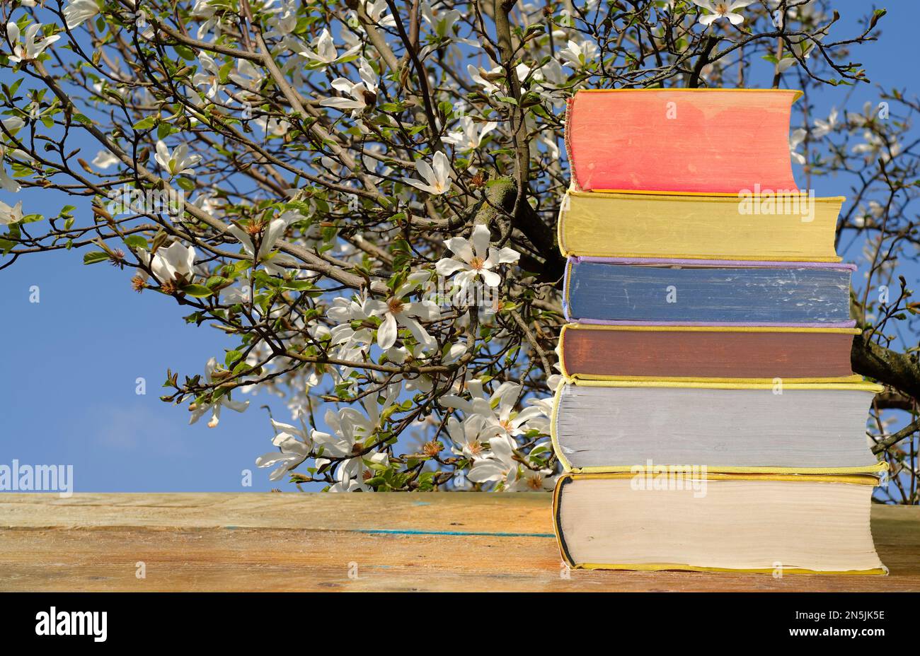 stack of books with blurred spring flowers in the background free copy ...