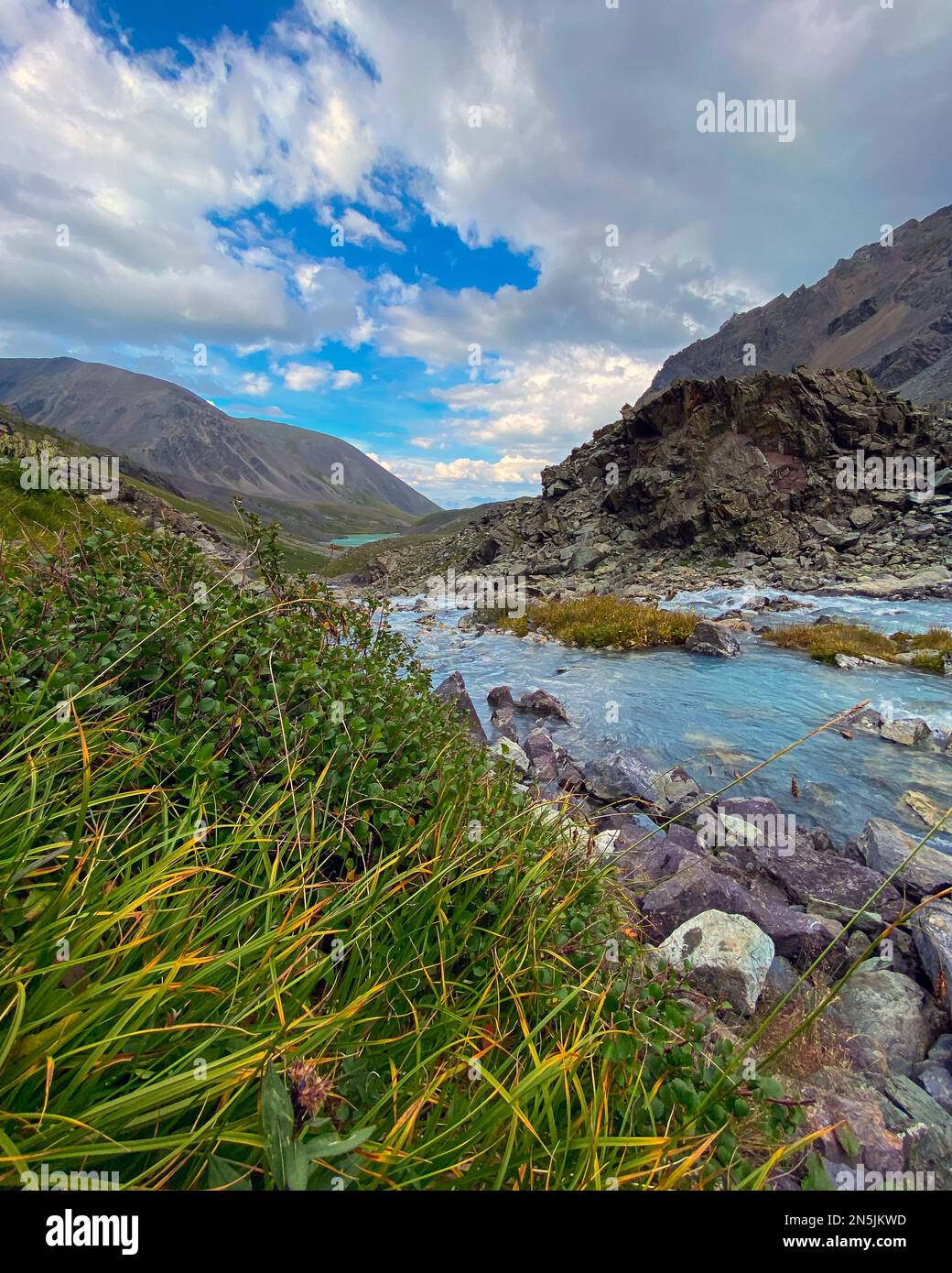 The water of the current alpine river among the stones flows to the ...