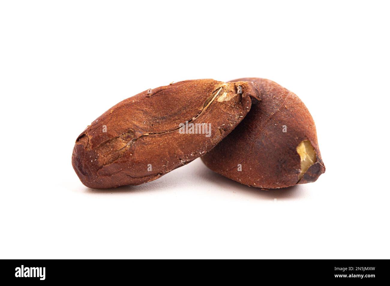 Pili Nuts from the Philippines on a White Background Stock Photo - Alamy
