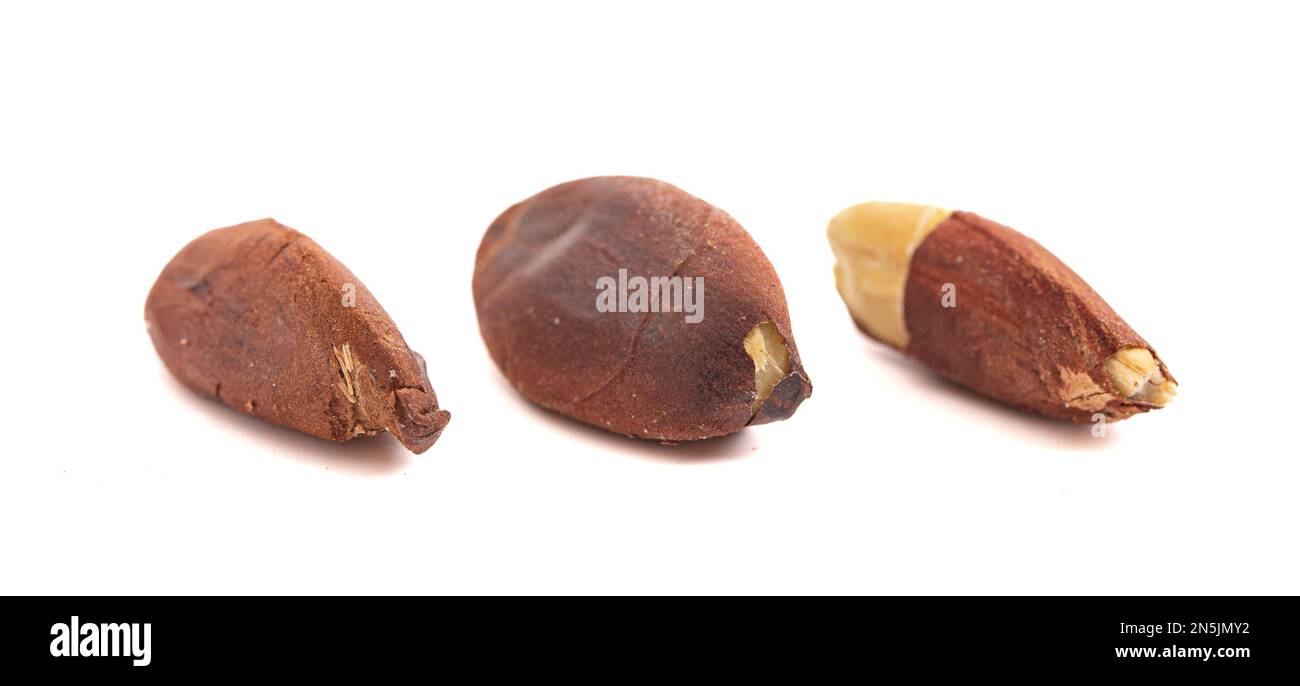 Pili Nuts from the Philippines on a White Background Stock Photo - Alamy