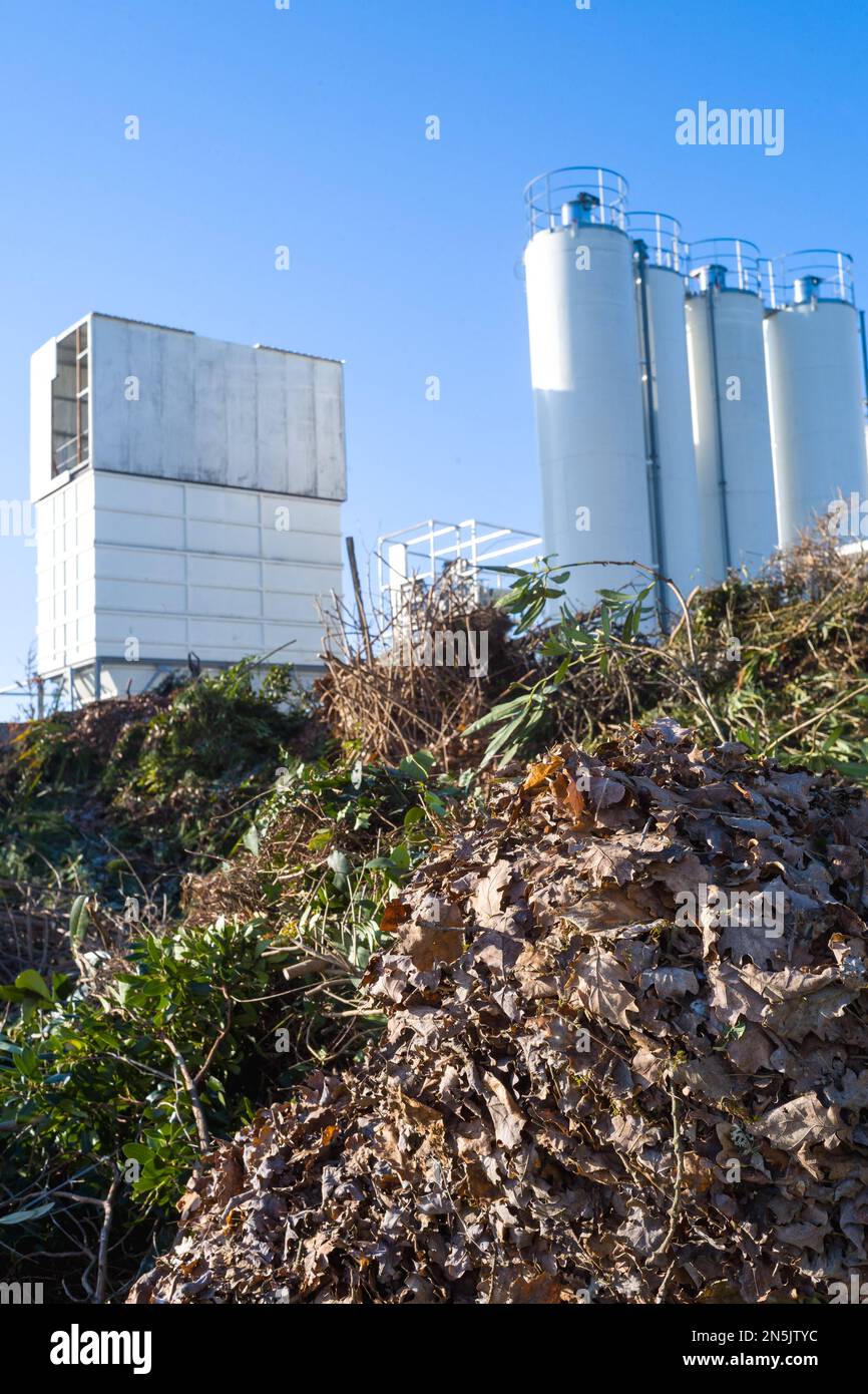 Green waste. On site, Traditional Waste Zone. Visit of Minister of ...