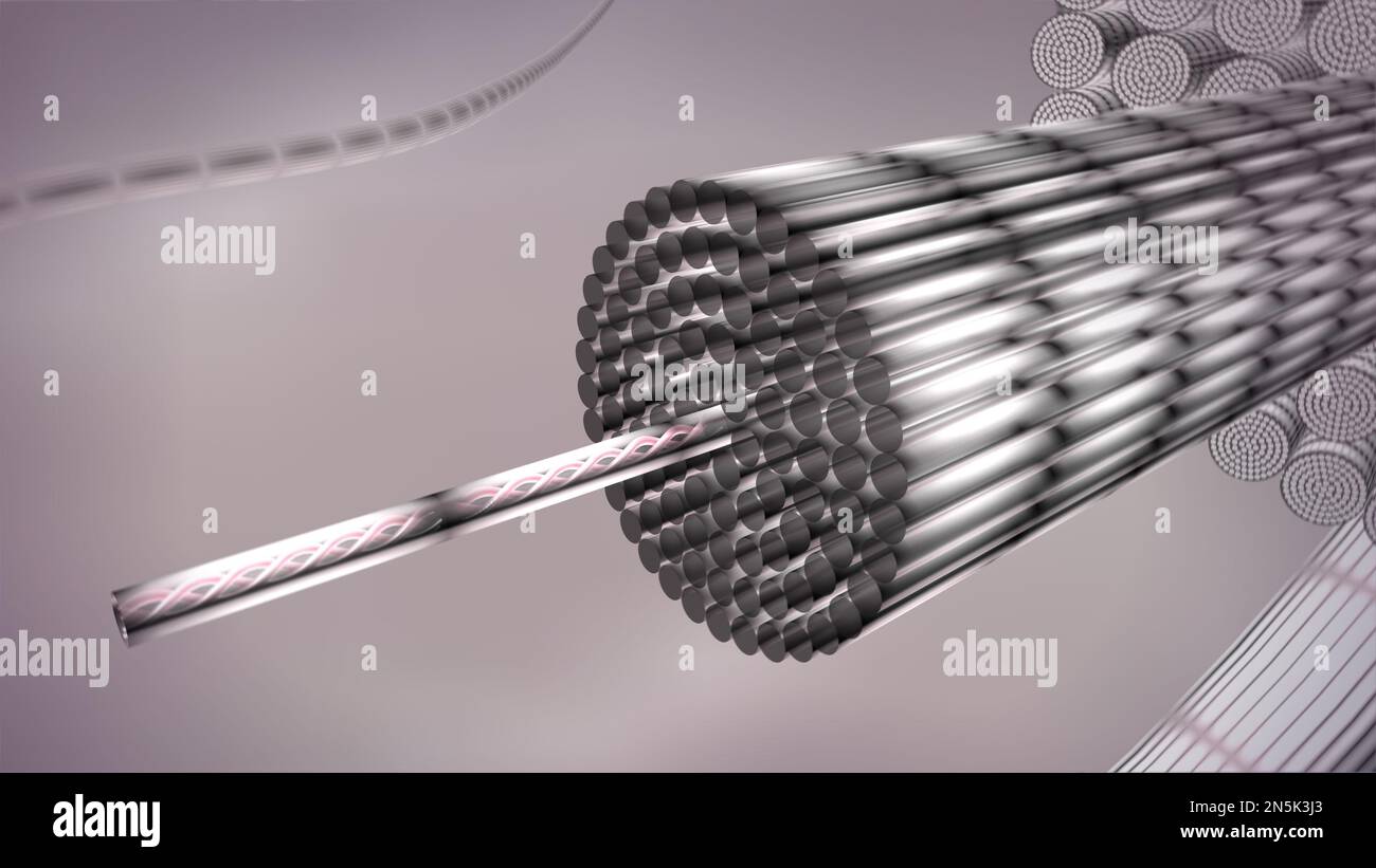 Collagen amino acid triple-helical molecule structure 3d rendered ...