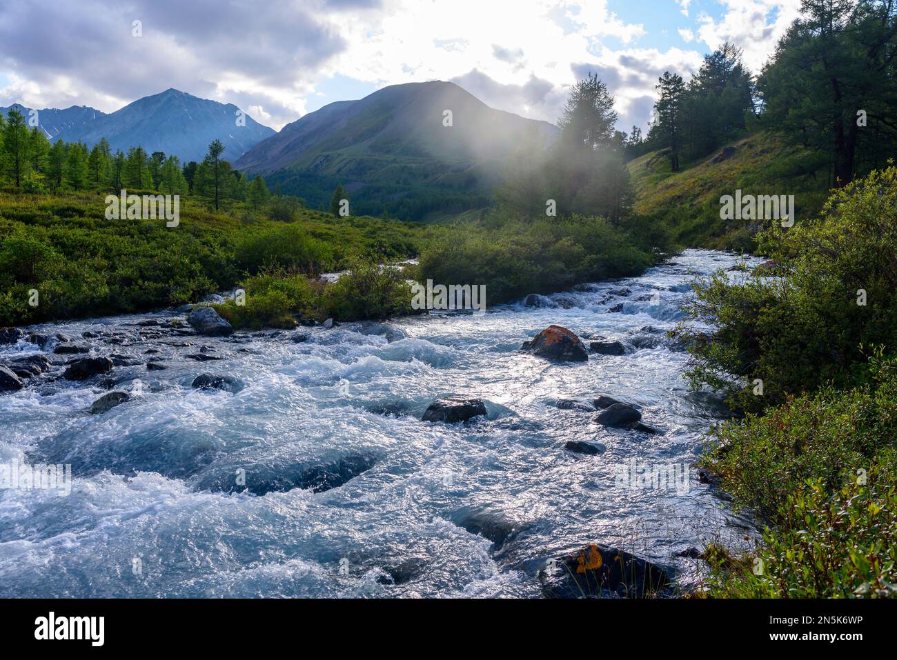 Siberia in summer hi-res stock photography and images - Alamy